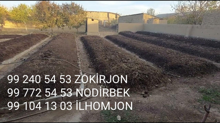 Ozuvqa biyogomus