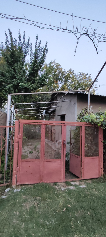 Уй, дача тоза хавода жойлашган