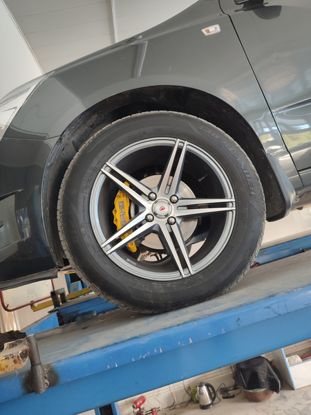 Vossen 16 holati ideal