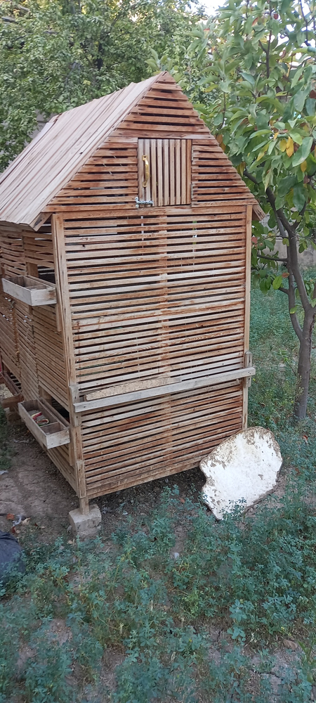 Tovuq uya sotiladi