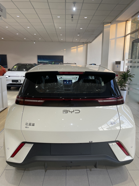 BYD Seagull Restailing 2025