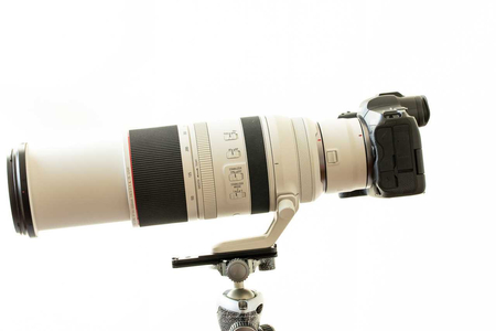 Canon RF 100-500mm F4.5-7.1 L IS USM