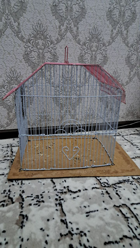 Клетка для животных