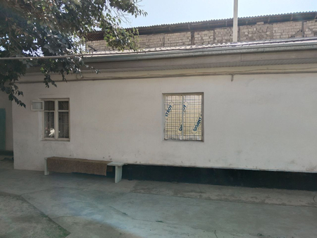 Участок с 2 домами