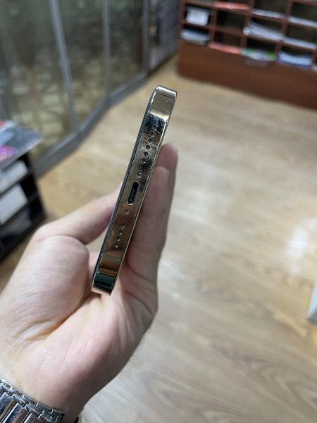 iphone 12 pro max gold
