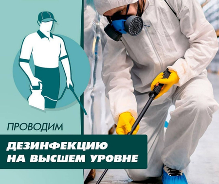 Дизинфексия хизмати