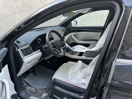 BYD chempion 2024 full 605