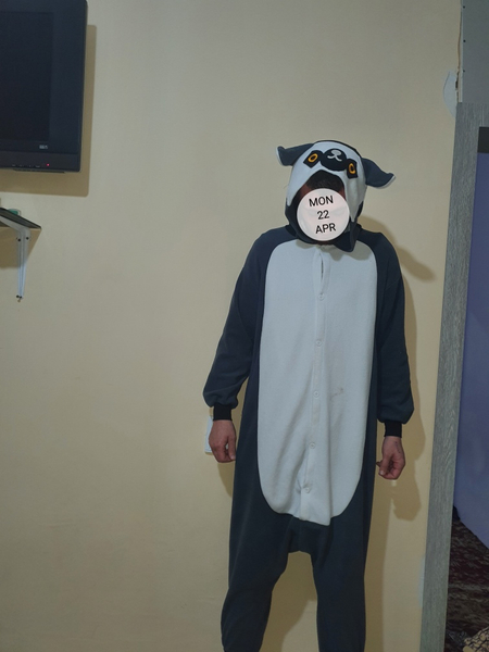 Костюм игрушки Енот