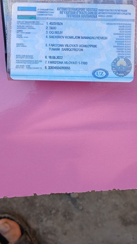 Tiko Tico propan 750 km yuradi