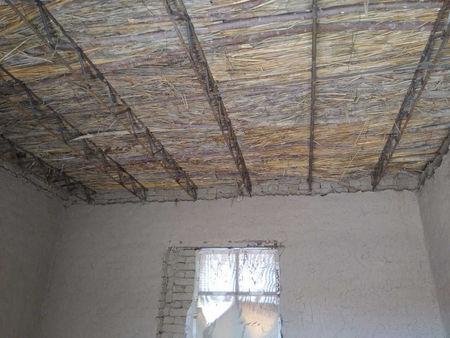 No'kis qalasi, ippodromda 2 xanali jay satiladi