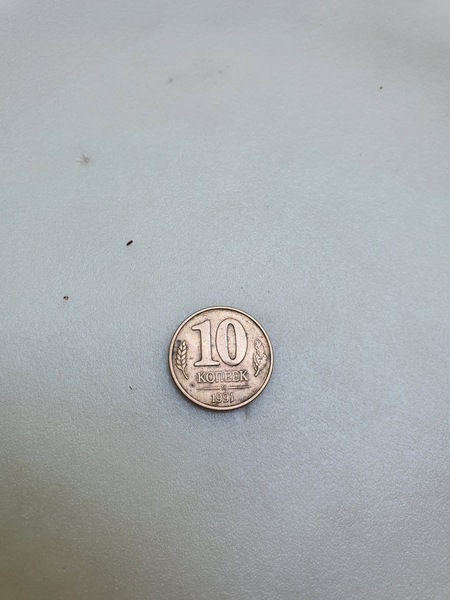 Монеты СССР 10к. 91г.