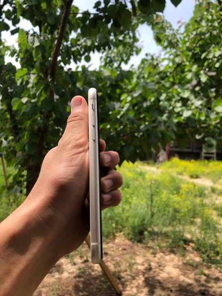 iPhone 11   128 gb