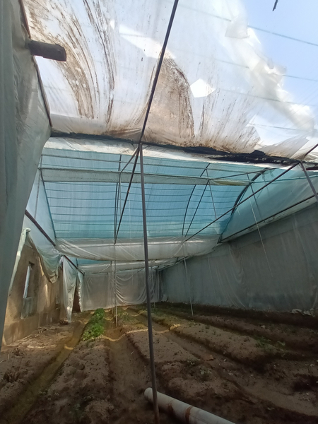 Парник сотилади 2.5 сотих