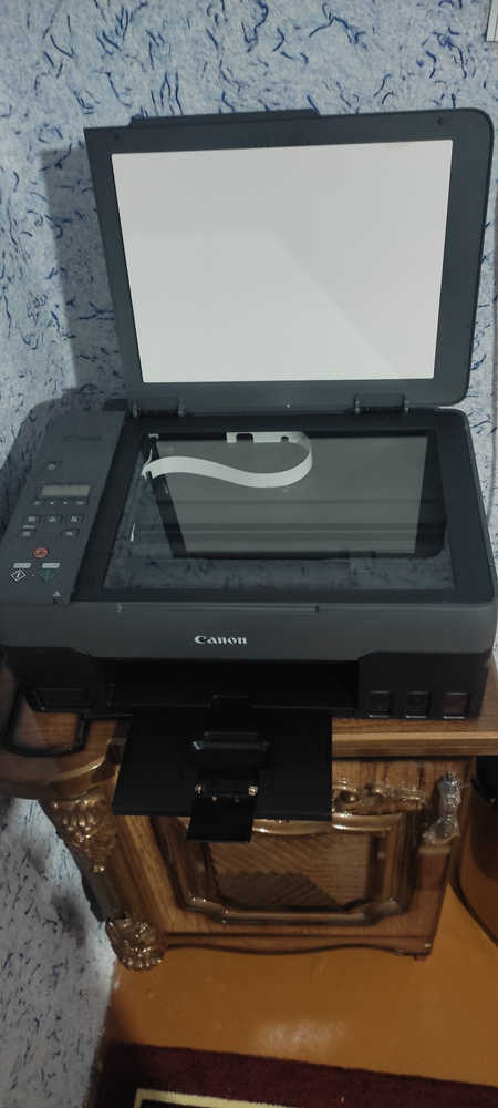 Rangli prentir g3420 uchtasi birda