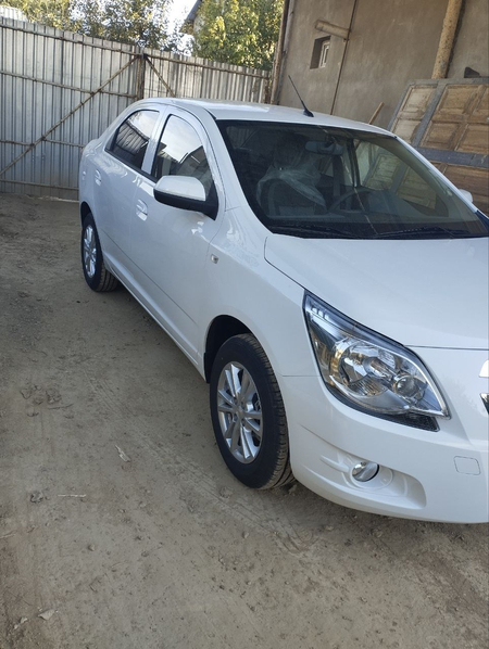 Srochna Cobalt 2023 yil 17 ming yurgan top toza