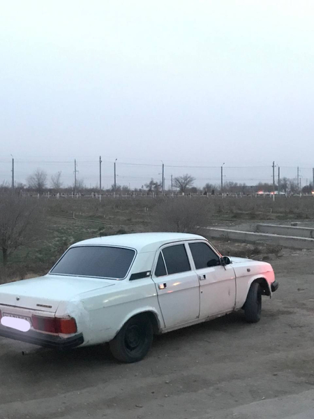 Volga 31 .1995 yil
