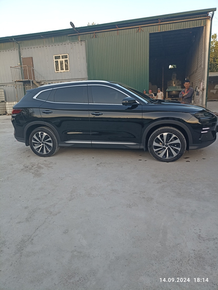 Byd chempion 605 насия бор