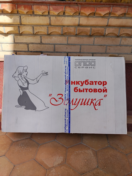 Асалому Алейкум инкубатор сотилади