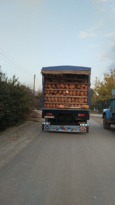 Зил сотилади срочно