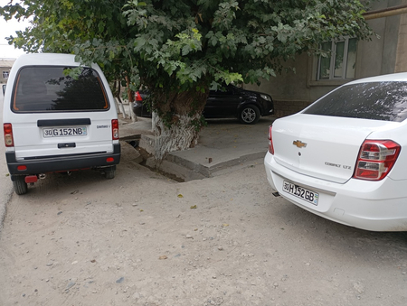 Damas sotiladi 2019