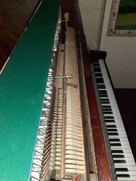 Pinina Belarusiya holati yahshi sotamz