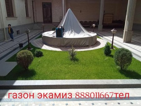 Gazon ekamiz lanshaf ishimiz sifatili