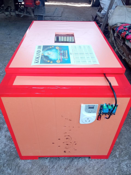 INKUBATOR 100talik yangi