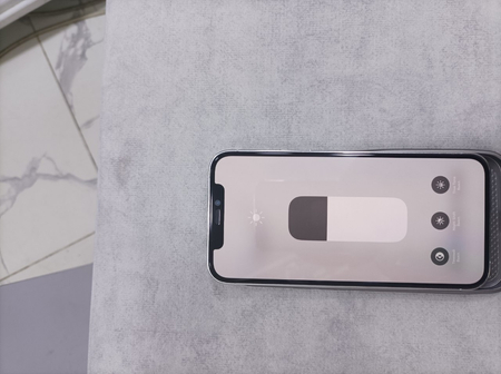 iPhone 12 pro silver