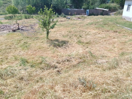 Quruq yer sotiladi hovlini yarmi