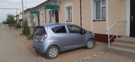 Спарк 2013,делфин