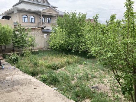 Участка в гулистан 3