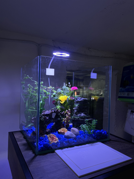Akvarium Kub 0.6 oynadan yasalgan