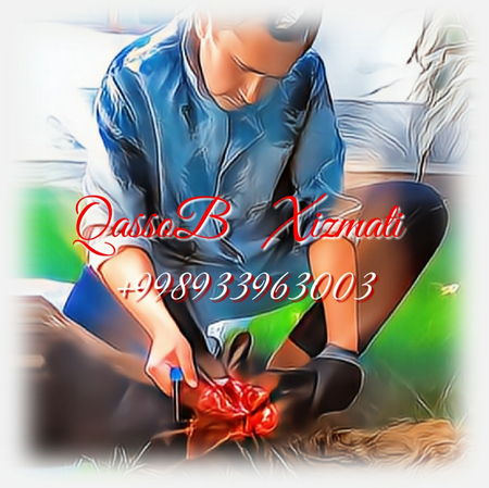 Qassob Қассоб qassob xizmati