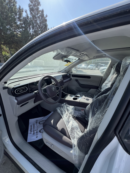 LeapMotor C11 SMART restying 2024