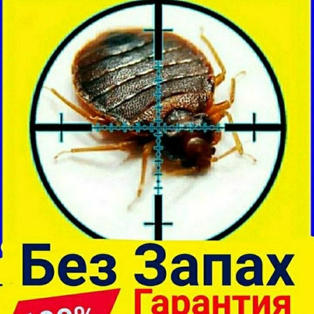 Дезинфекция 24/7 в Ташкенте