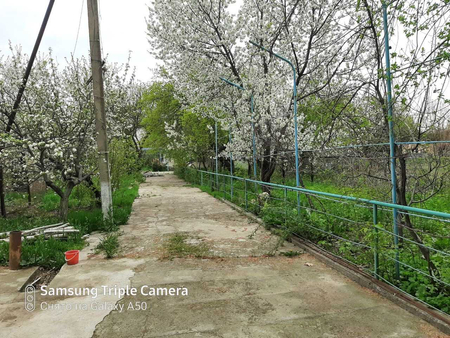Дача в кибрайском районе 19 соток