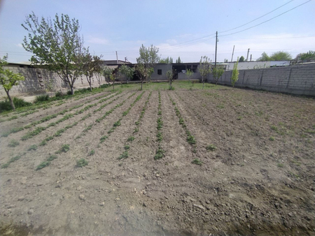Земля в зангиотинском районе