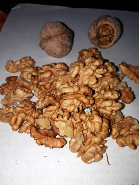 Продам грецкие орехи