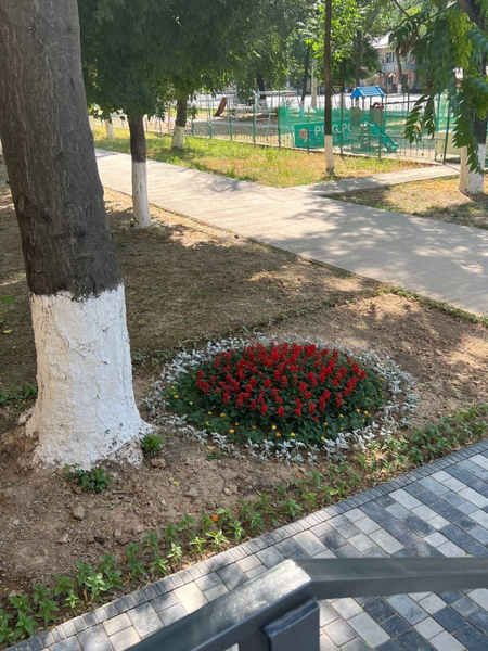Продаётся Своя Готовый Под Офис Шайхонтахур Гулхани Октепа