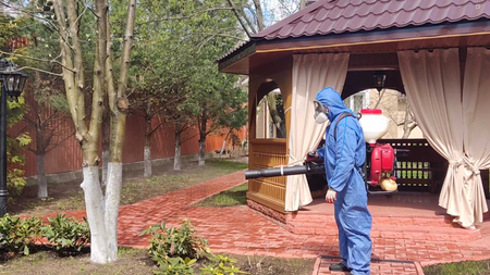 Dezinfeksiya klop tarakan Дезинфекция СКИДКИ до 40%