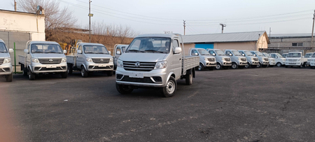 DFSK D31 mini yuk mashinasi
