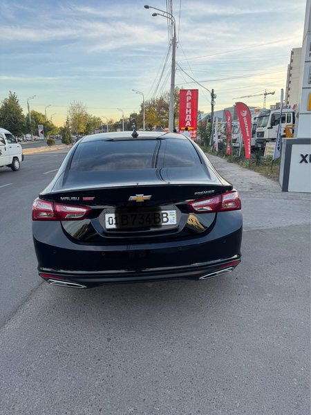 Malibu premier черный цвет
