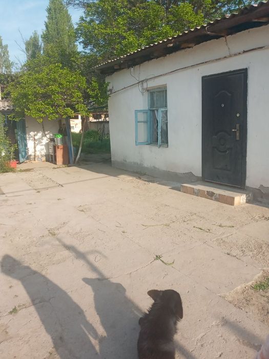 Ортачиршик туман Саид ауыл МФИ