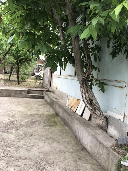 Dacha sotiladi yer