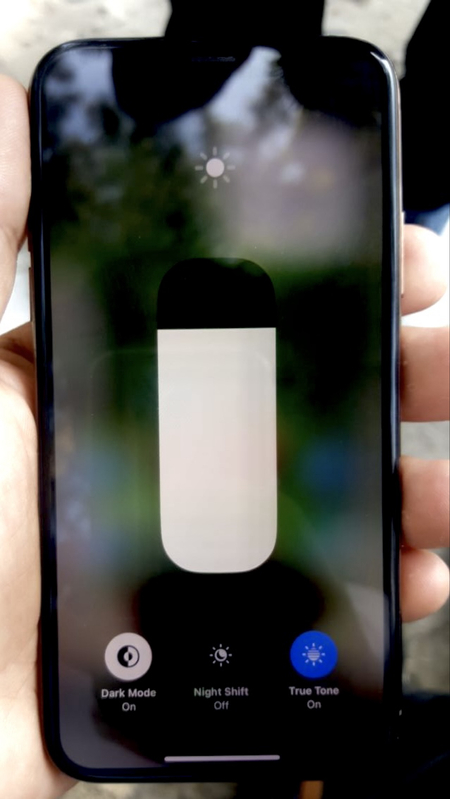 iPhone Xs (ideal)