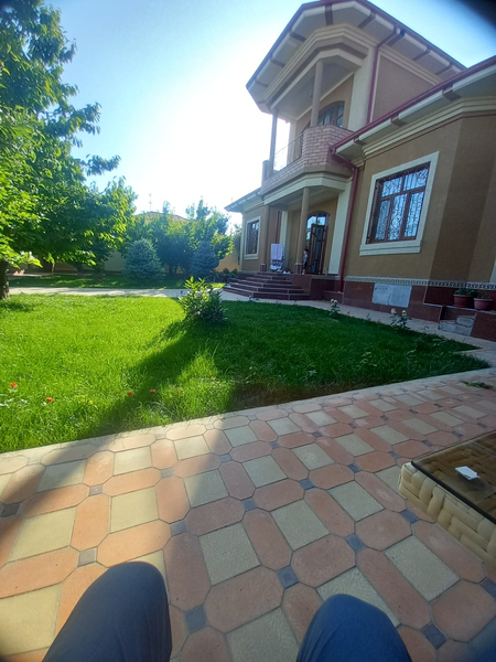 Gazon ekish xizmati