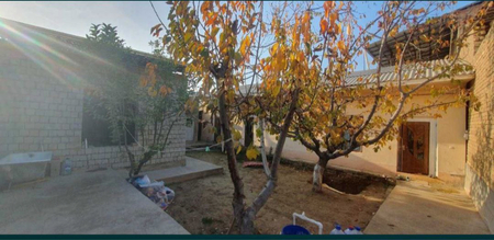 N784 Toshkent tumani Keles 2.5 sotix