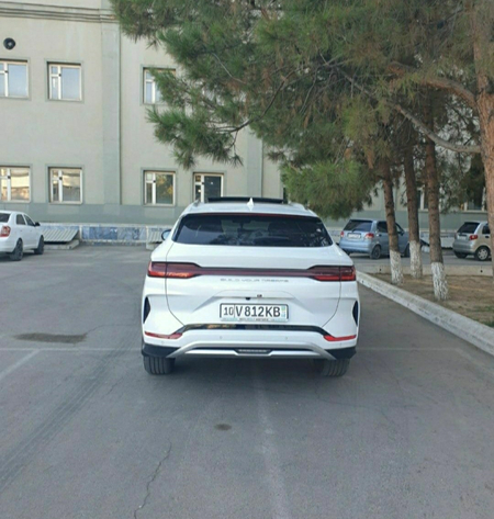 BYD CHEMPION 605 KM. 2024. Краска тоза