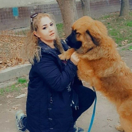 Дрессировка собак