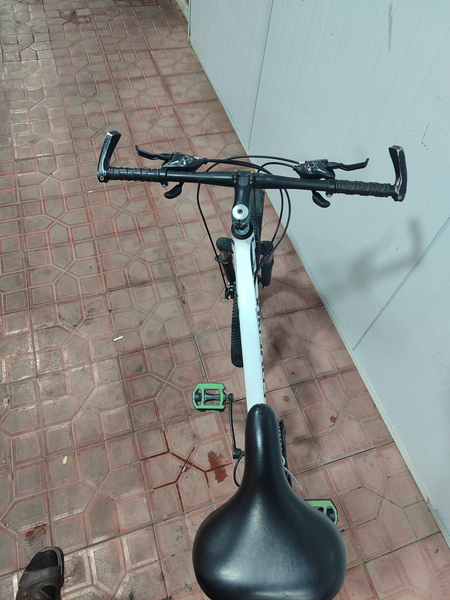 Velosiped PHOENIX (24)